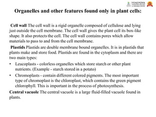 Introduction to Biochemistry – Cell Organelles, Functions ...