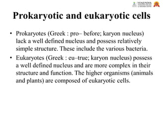 Introduction to Biochemistry – Cell Organelles, Functions ...