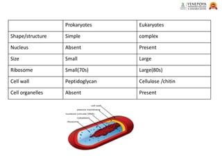 Introduction to Biochemistry – Cell Organelles, Functions ...