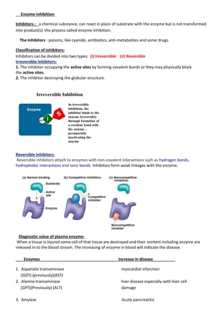 Biochemistry-9-Enzymes.pdf easy notes of zoology | PDF