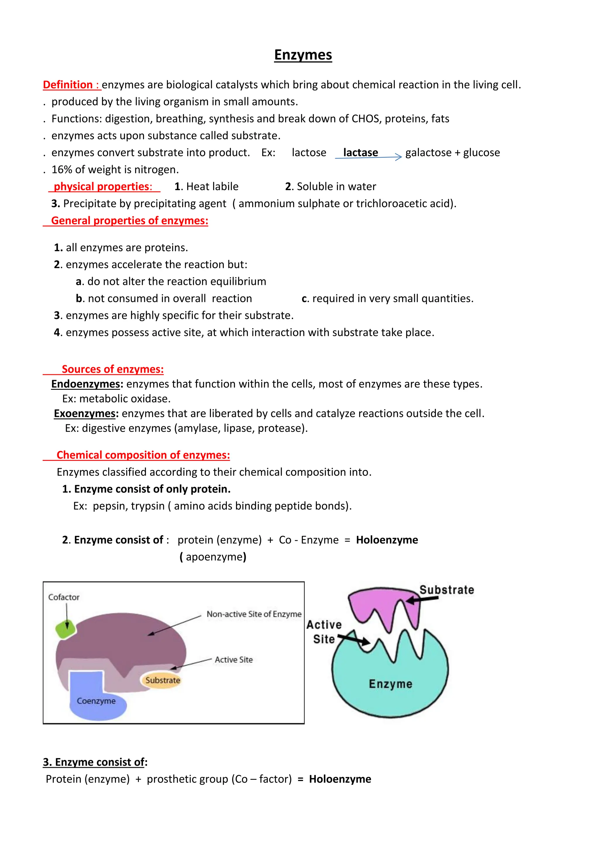 Biochemistry-9-Enzymes.pdf Easy notes zoology | PDF