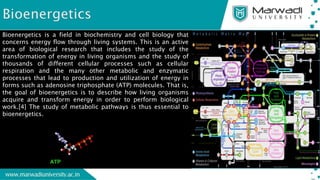 Biochemistry a mere game of thermodynamic principles | PPTX