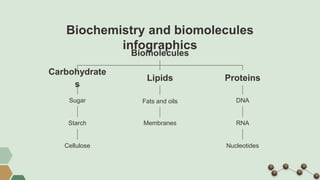 biochemistry-and-biomolecules-science-9th-grade-infographics.pptx