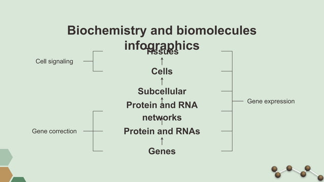 biochemistry-and-biomolecules-science-9th-grade-infographics.pptx