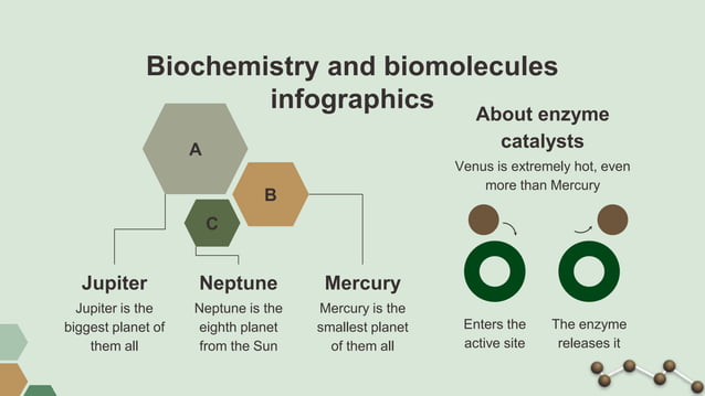 biochemistry-and-biomolecules-science-9th-grade-infographics.pptx