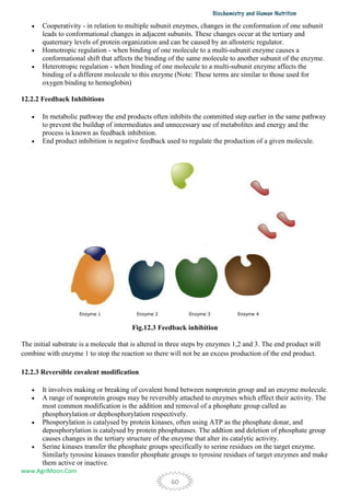 Biochemistry and-human-nutrition | PDF