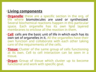 -Biochemistry-and-the-Organization-of-Cells- slide 1.pptx