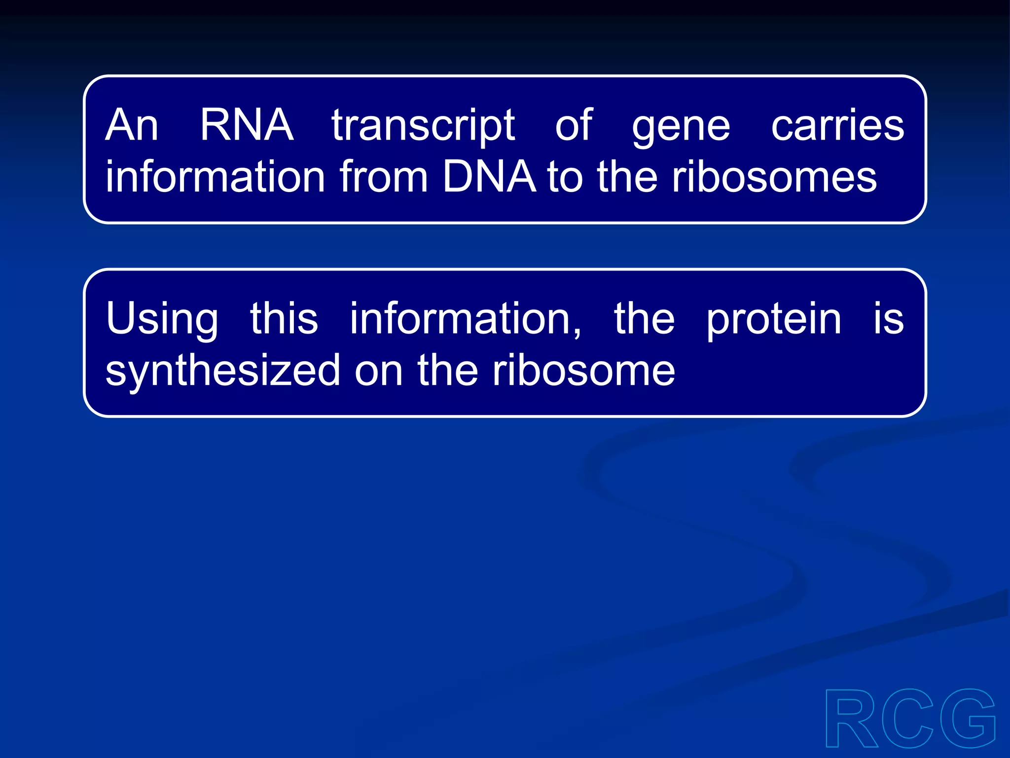 Biochemistry an overview | PPTX