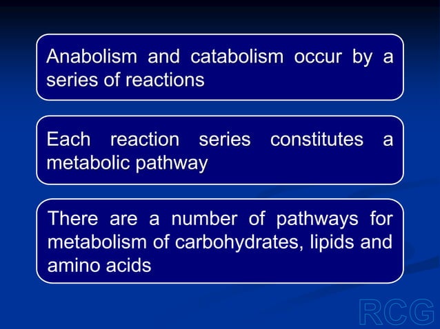 Biochemistry an overview | PPT