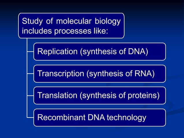 Biochemistry an overview | PPT
