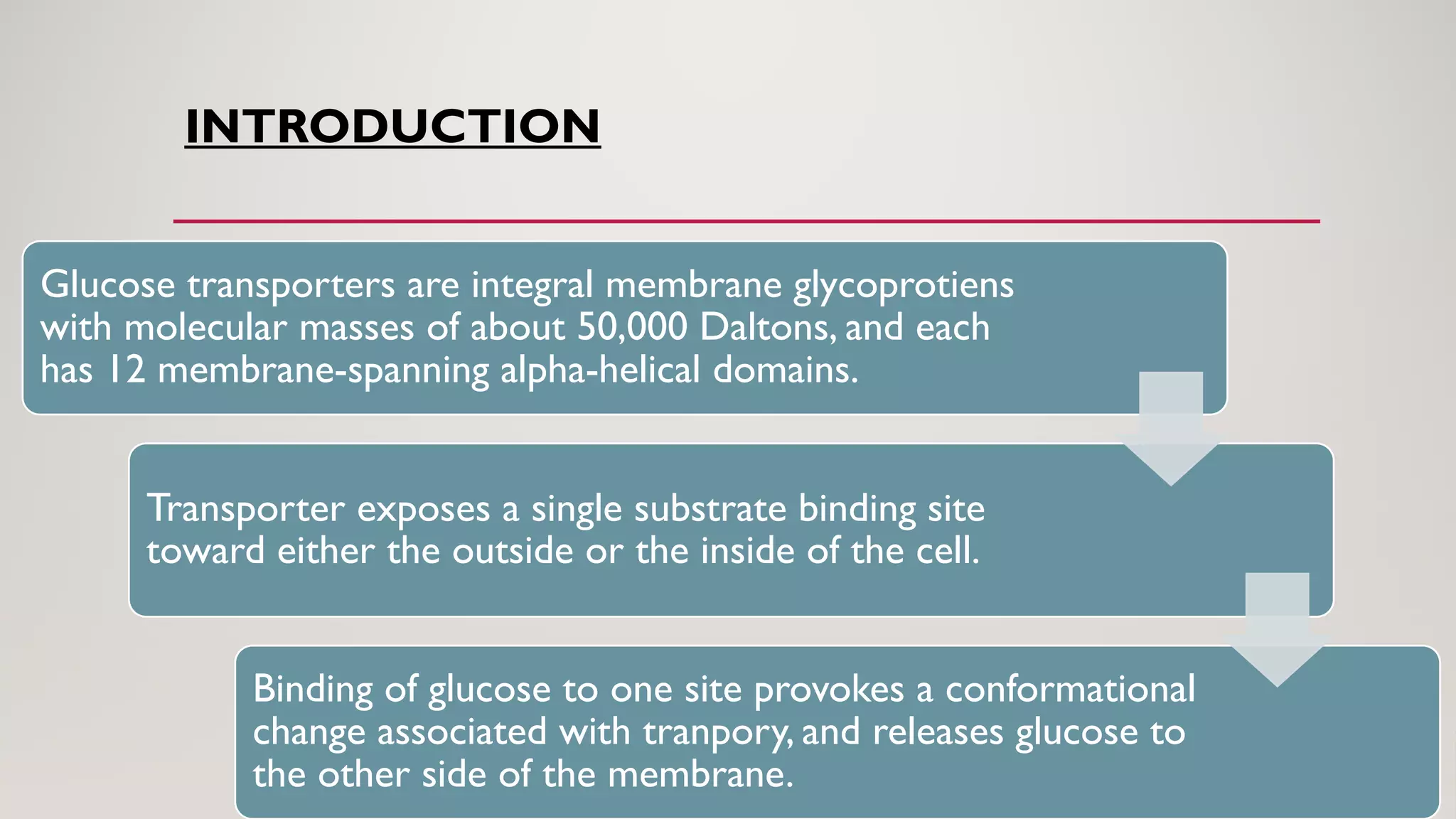 Biochemistry- Glucose transporters | PDF
