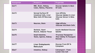 Biochemistry- Glucose transporters | PDF