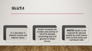 Biochemistry- Glucose transporters | PDF