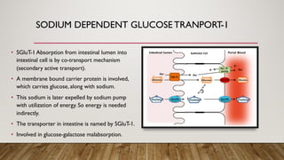 Sodium Glucose Transporter