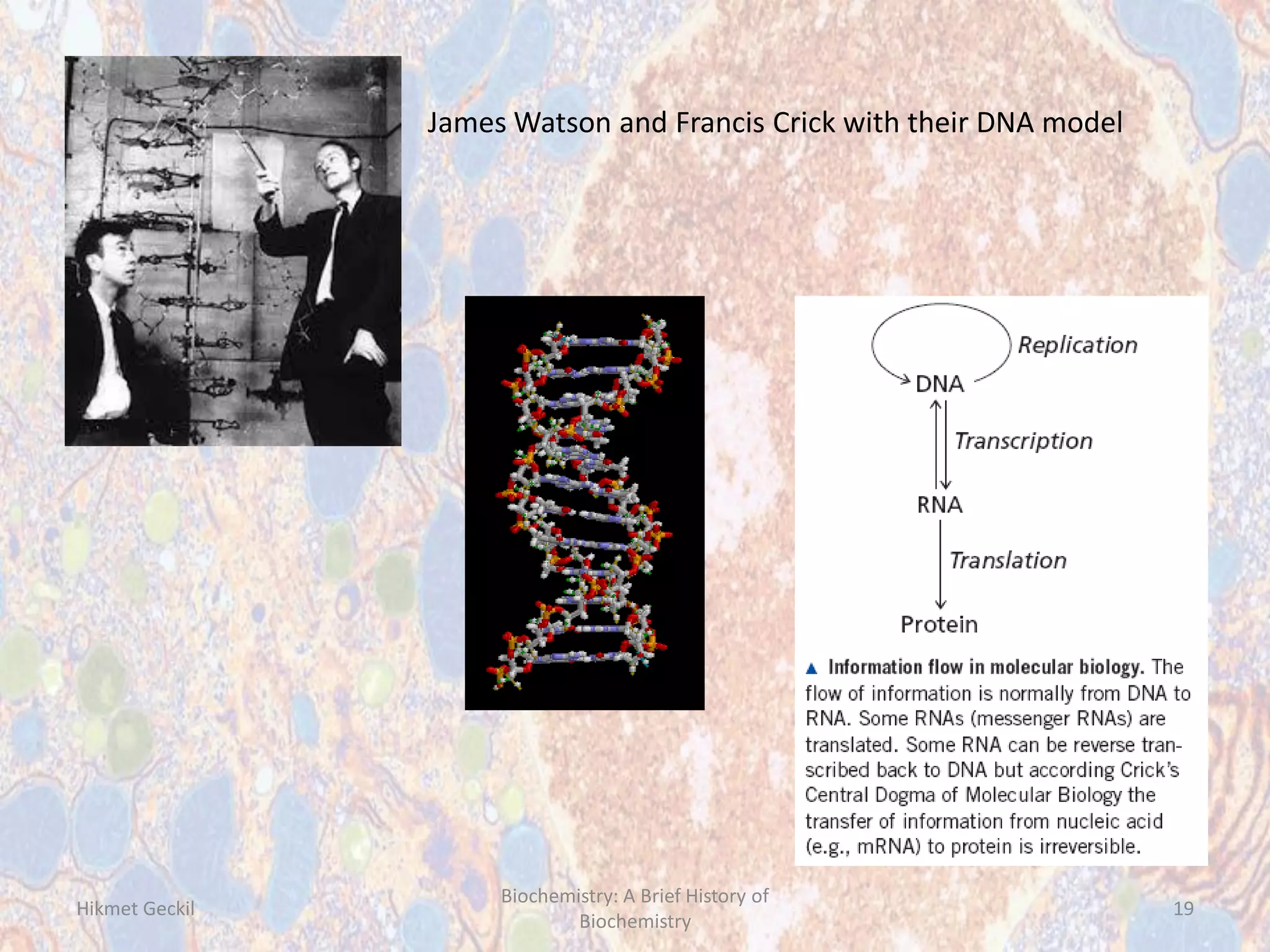 Biochemistry: A Brief History of Biochemsitry | PDF