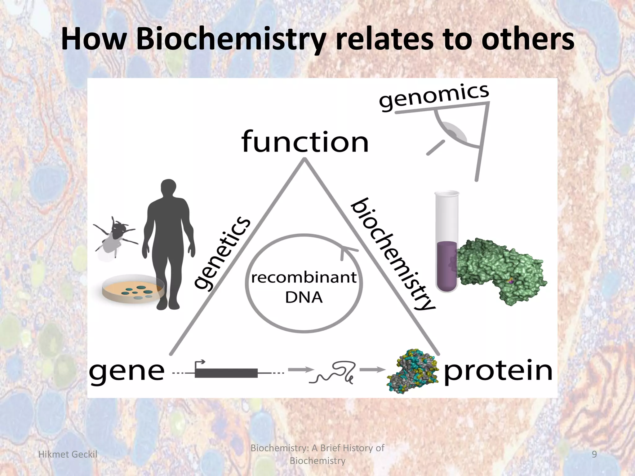 Biochemistry: A Brief History of Biochemsitry | PDF