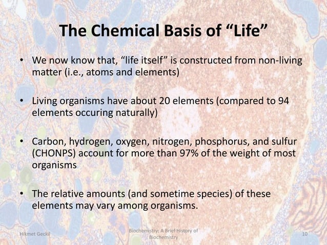 Biochemistry: A Brief History of Biochemsitry | PDF | Biological ...
