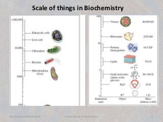 Biochemistry: A Brief History of Biochemsitry | PDF