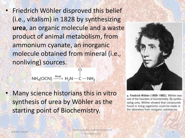 Biochemistry: A Brief History of Biochemsitry | PDF | Biological ...