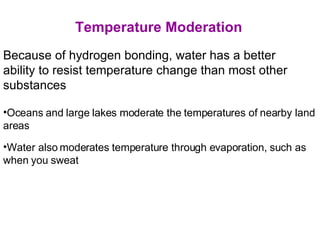 Biochemistry Honors | PPT