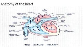 BIOCHEMISTRY-IN-CARDIOVASCULAR-DISEASES (1).pptx