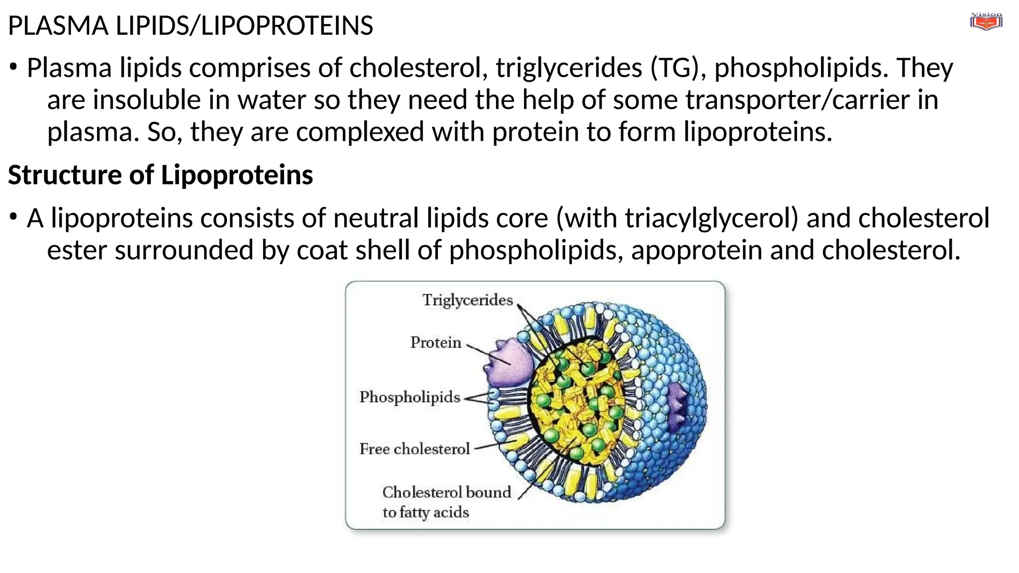 LIPIDS Digestion, absorption and metabolism of lipids and related ...