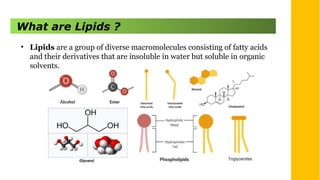 Biochemistry - Lipids 3.power point presentation | PPTX