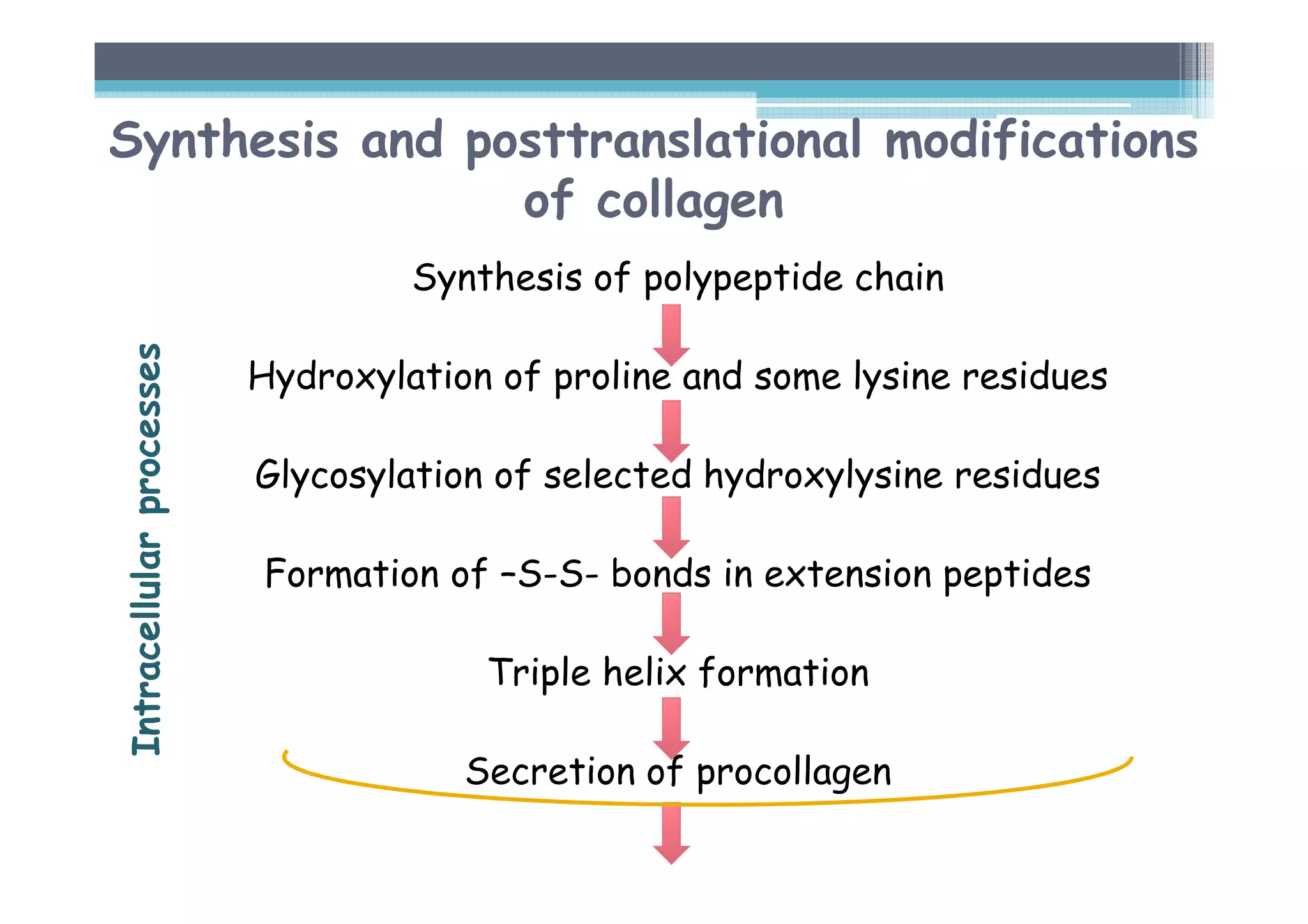 biochemistry-of-connective-tissue-dentistrykopptx.pdf
