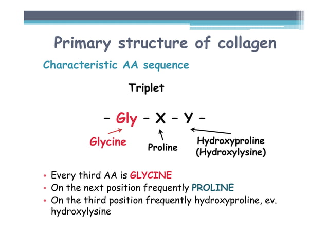 biochemistry-of-connective-tissue-dentistrykopptx.pdf