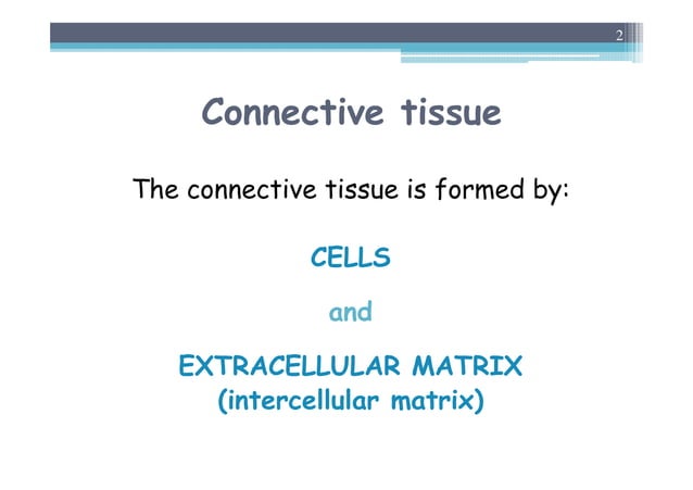 biochemistry-of-connective-tissue-dentistrykopptx.pdf