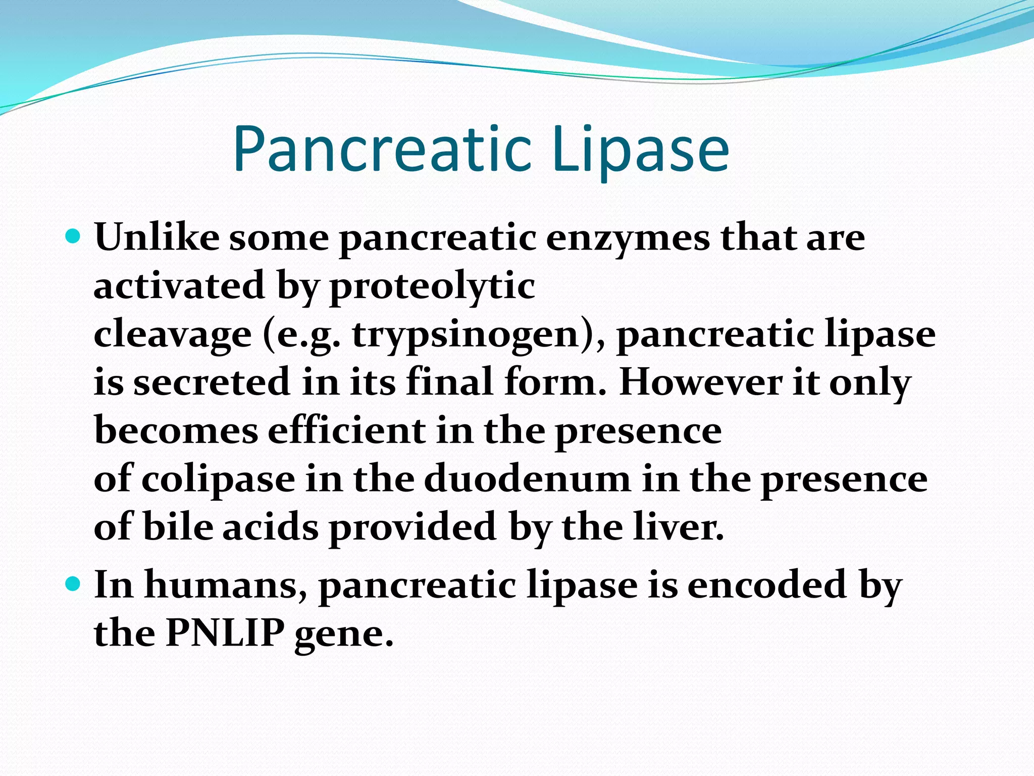 Pancreatic lipase ppt | PPTX