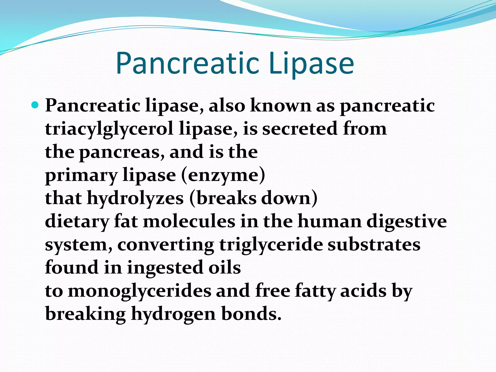 Pancreatic lipase ppt | PPTX