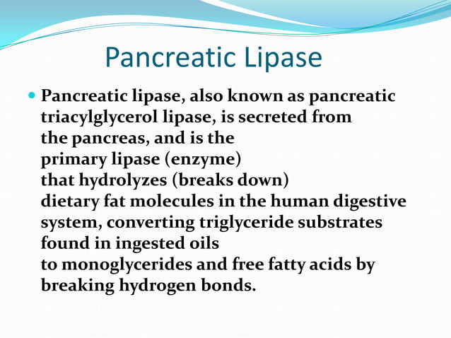 Pancreatic lipase ppt | PPTX | Digestive Disorders | Diseases and ...