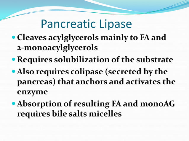 Pancreatic lipase ppt | PPTX | Digestive Disorders | Diseases and ...