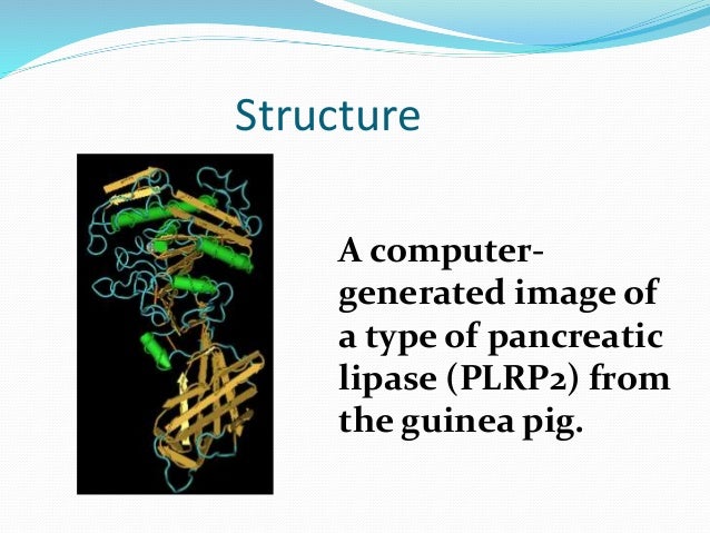 Pancreatic lipase ppt