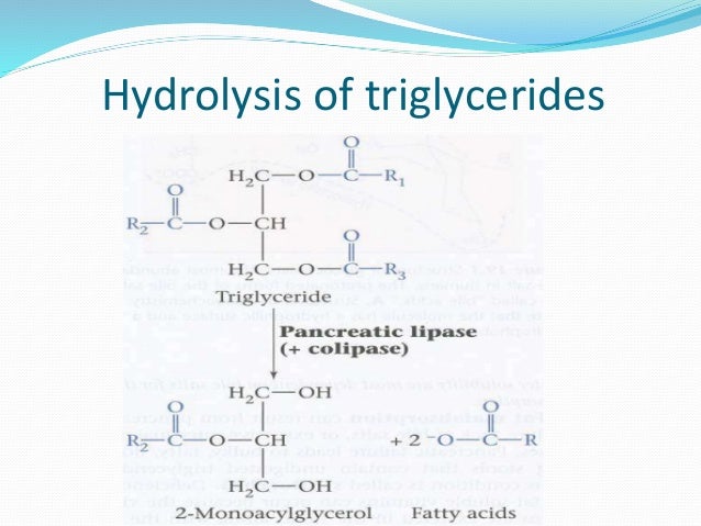 Pancreatic Lipase Ppt