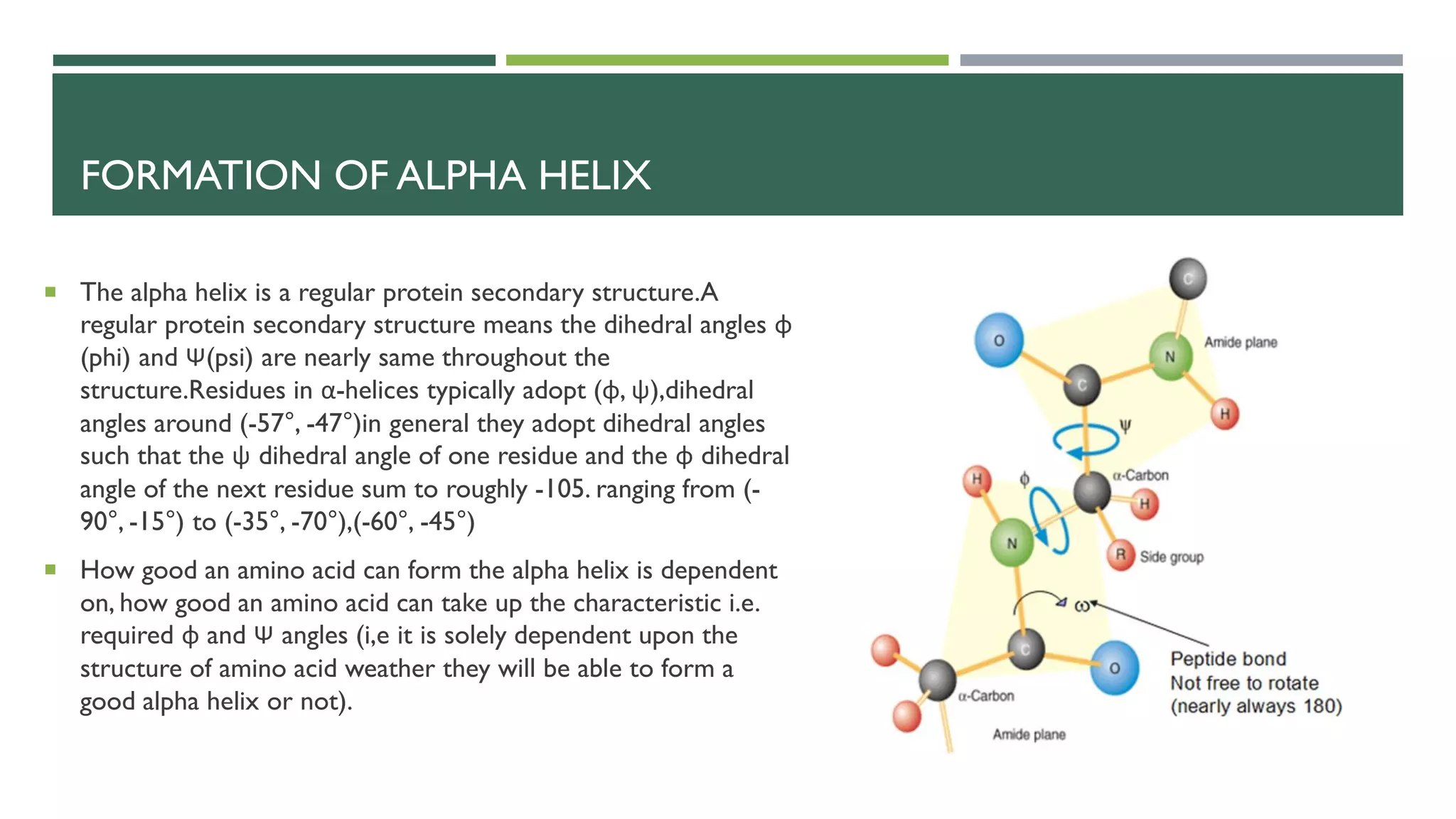 biochemistry-secondary structure of proteins | PDF