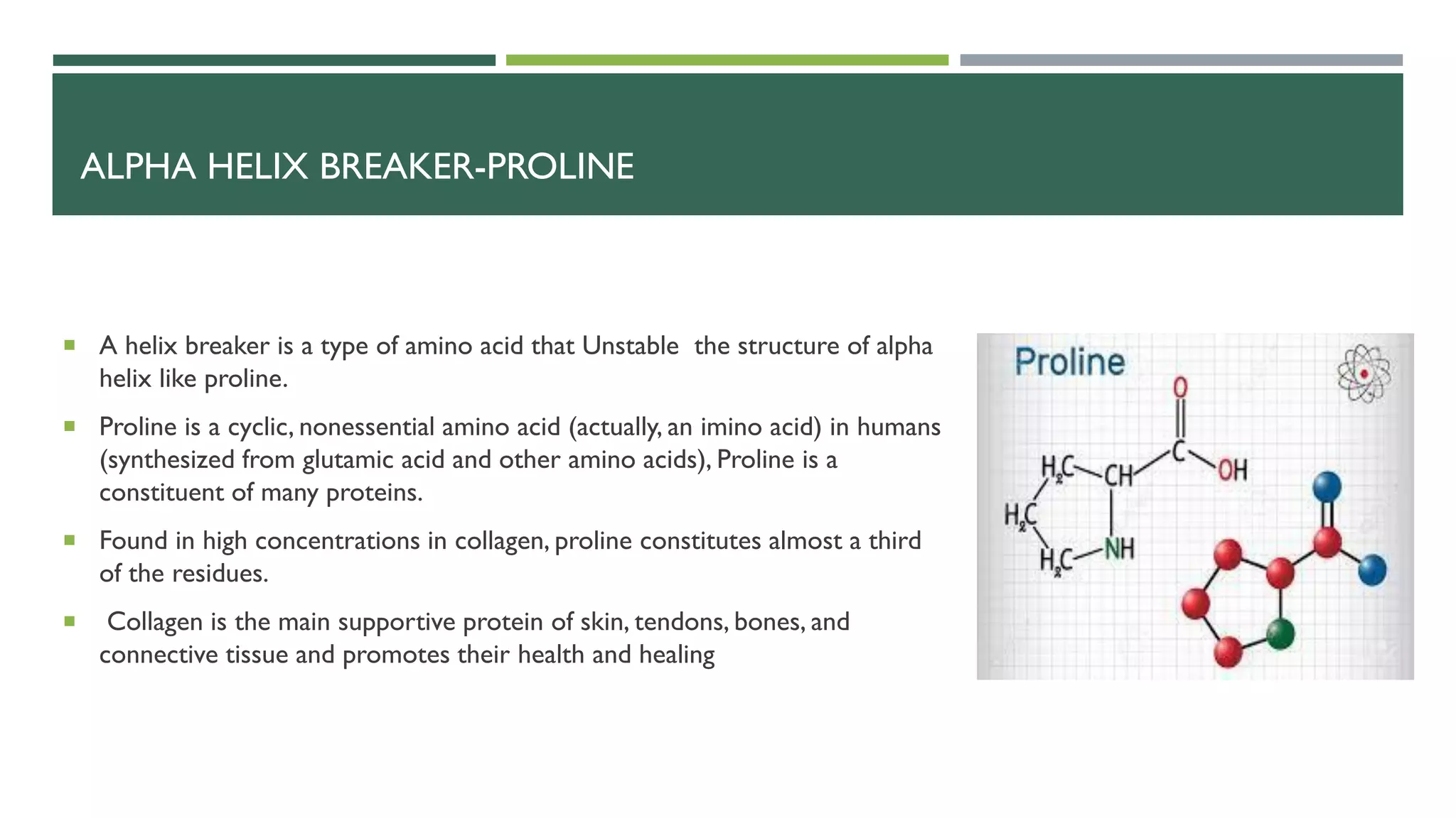 biochemistry-secondary structure of proteins | PDF