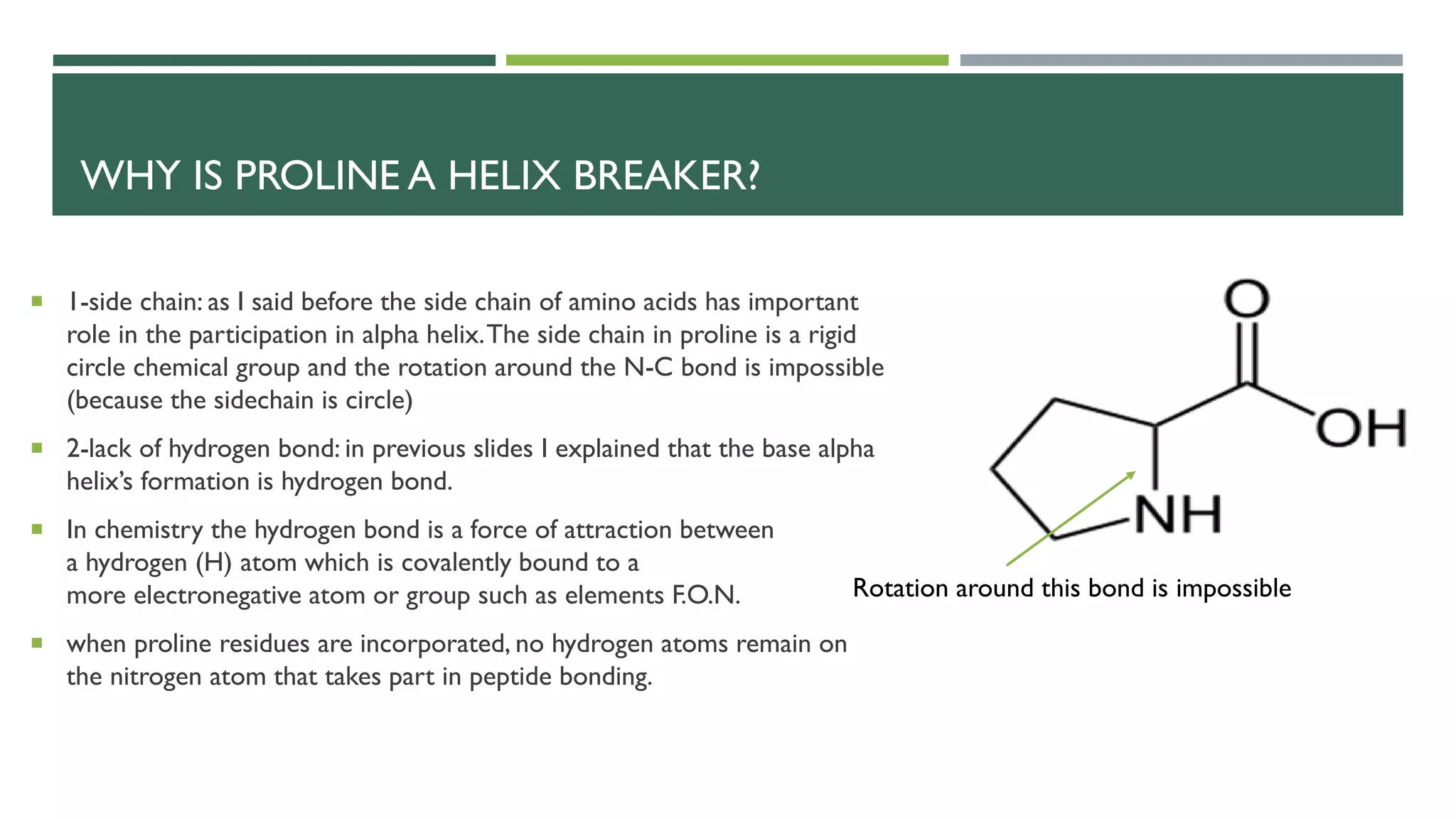 biochemistry-secondary structure of proteins | PDF