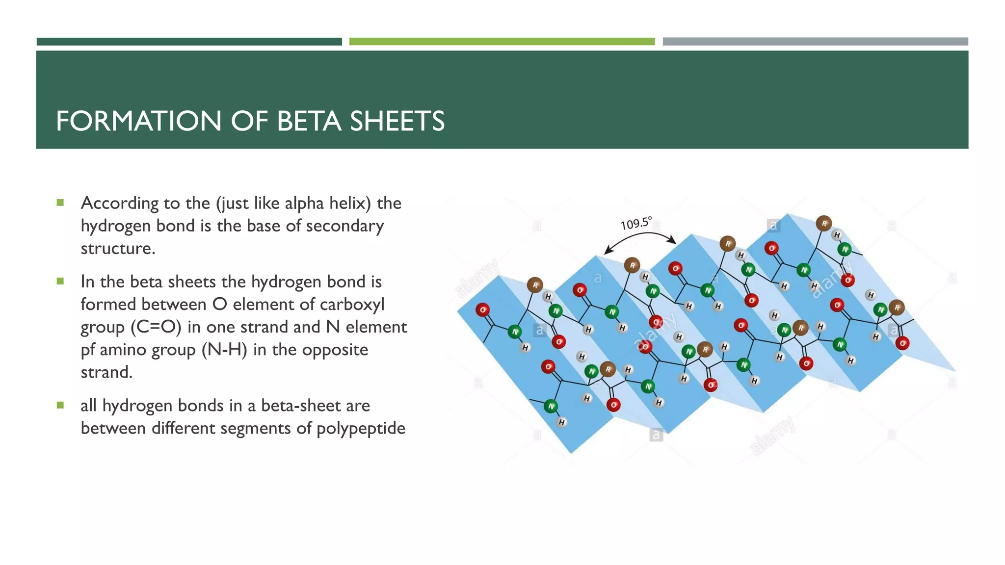biochemistry-secondary structure of proteins | PDF