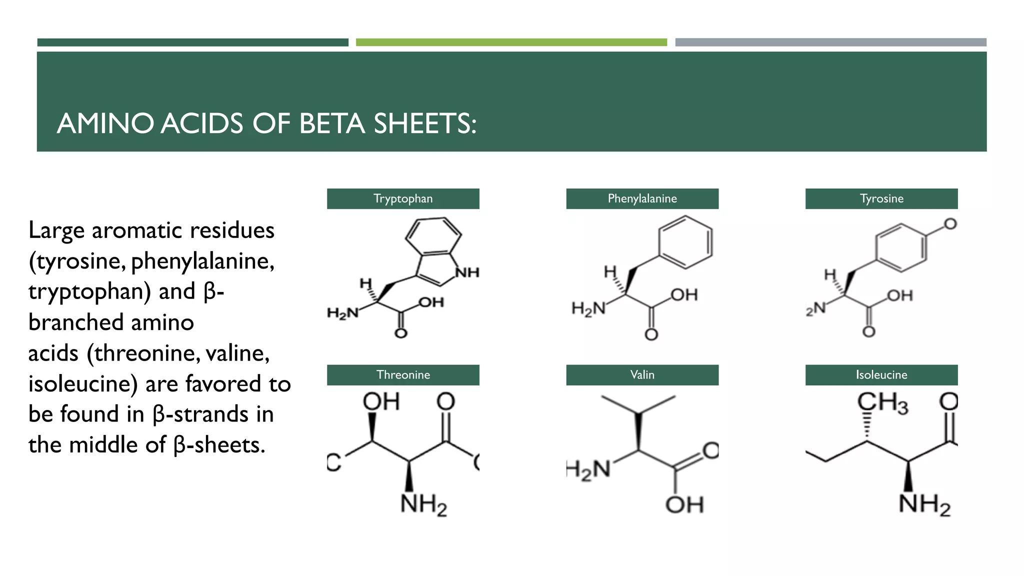biochemistry-secondary structure of proteins | PDF