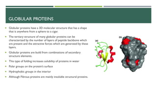 biochemistry-secondary structure of proteins | PDF