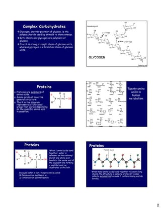 Biochemistry | PDF