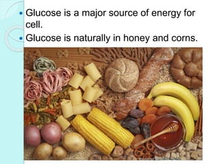 Carbohydrates | PPTX