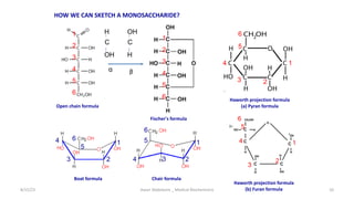 Biochemistry | PDF