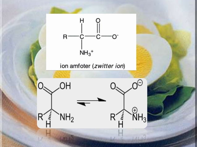[Biochemistry 1] amphoteric properties of proteins | PPTX | Chemistry ...