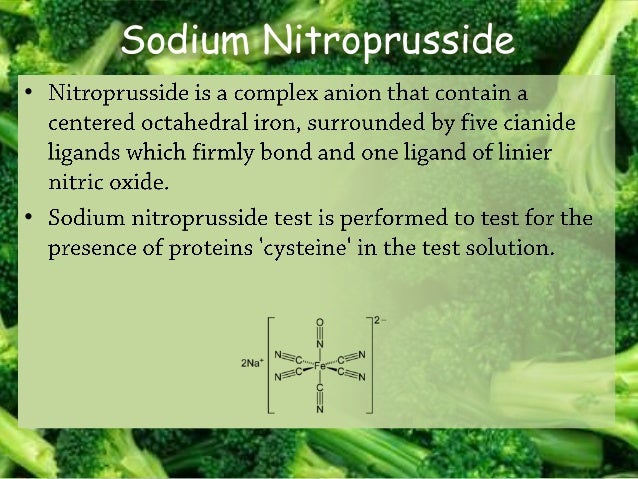 [Biochemistry 1] nitroprusside reaction