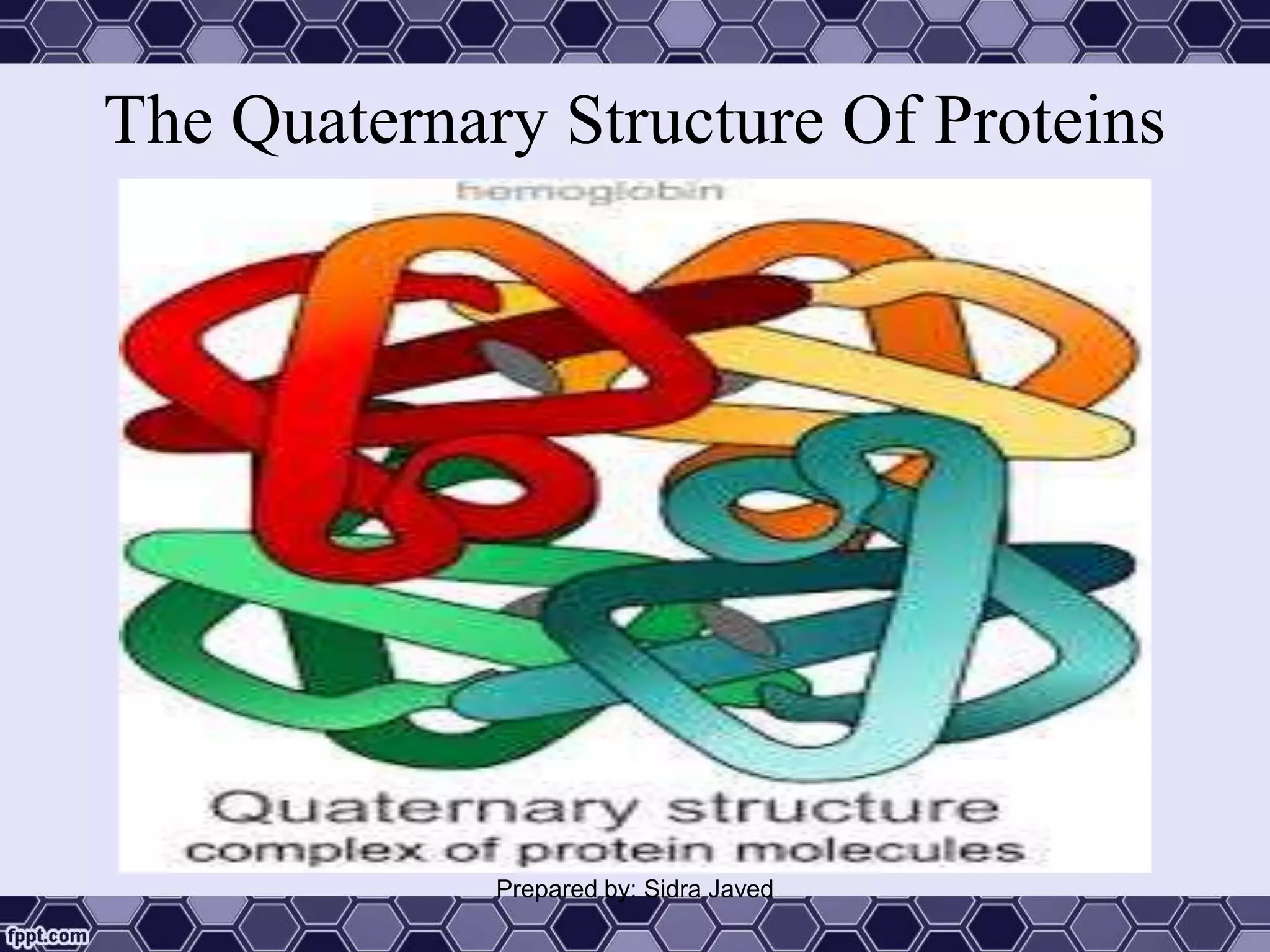 Proteins | PPTX