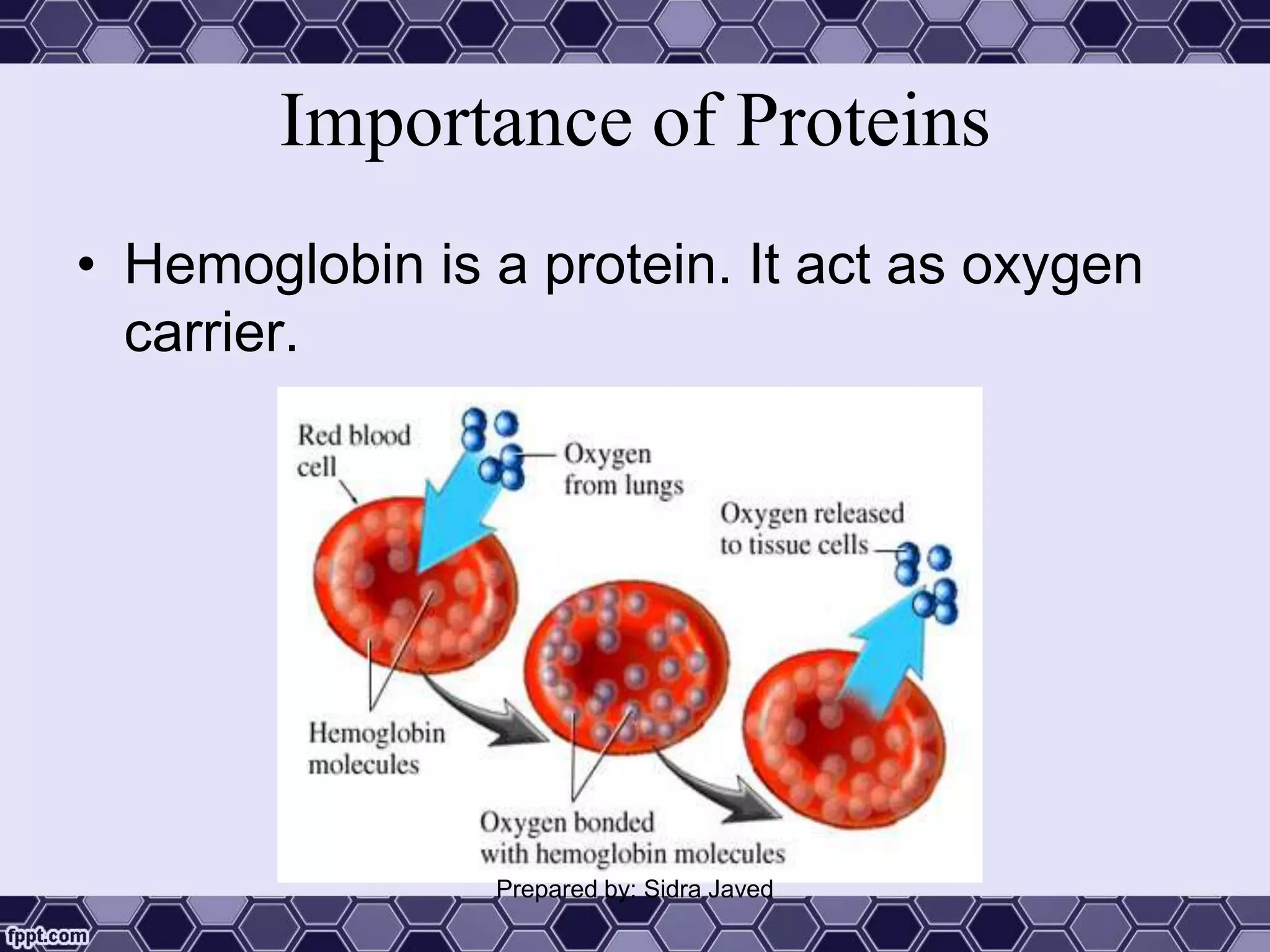 Proteins | PPTX
