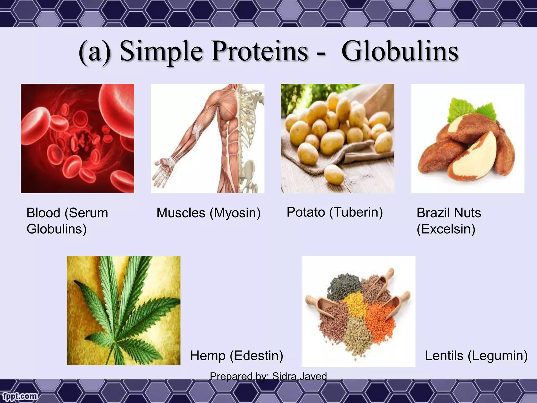 Proteins | PPTX
